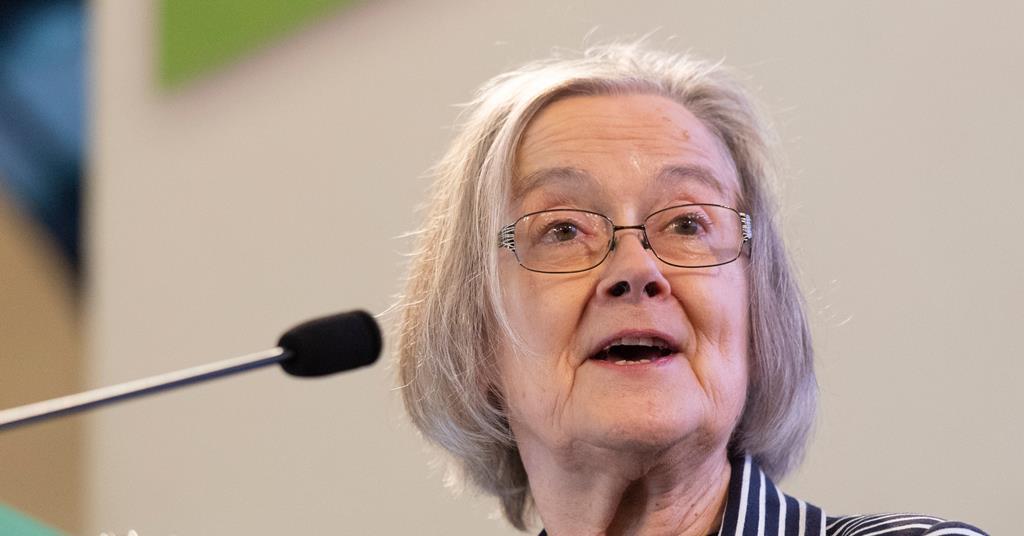 Hale risks political storm by questioning legislation before parliament ...