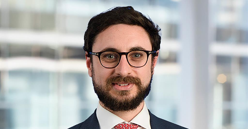 Cross-border litigation: Hague convention makes commercial sense | Law ...