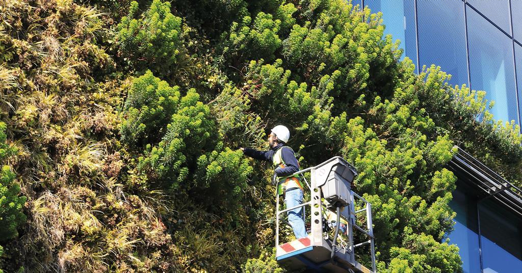 Build back better | Feature | Law Gazette