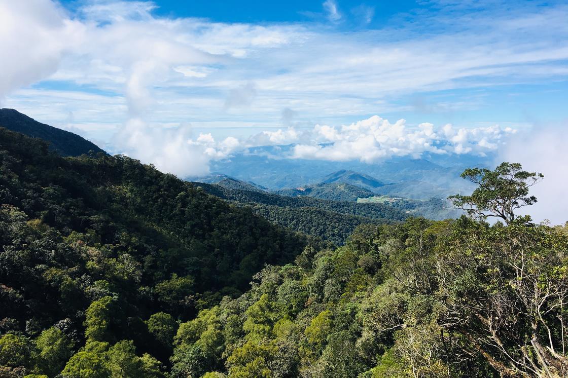 Postcard from abroad: Tom Reynolds, Trowers & Hamlins | Feature | Law ...