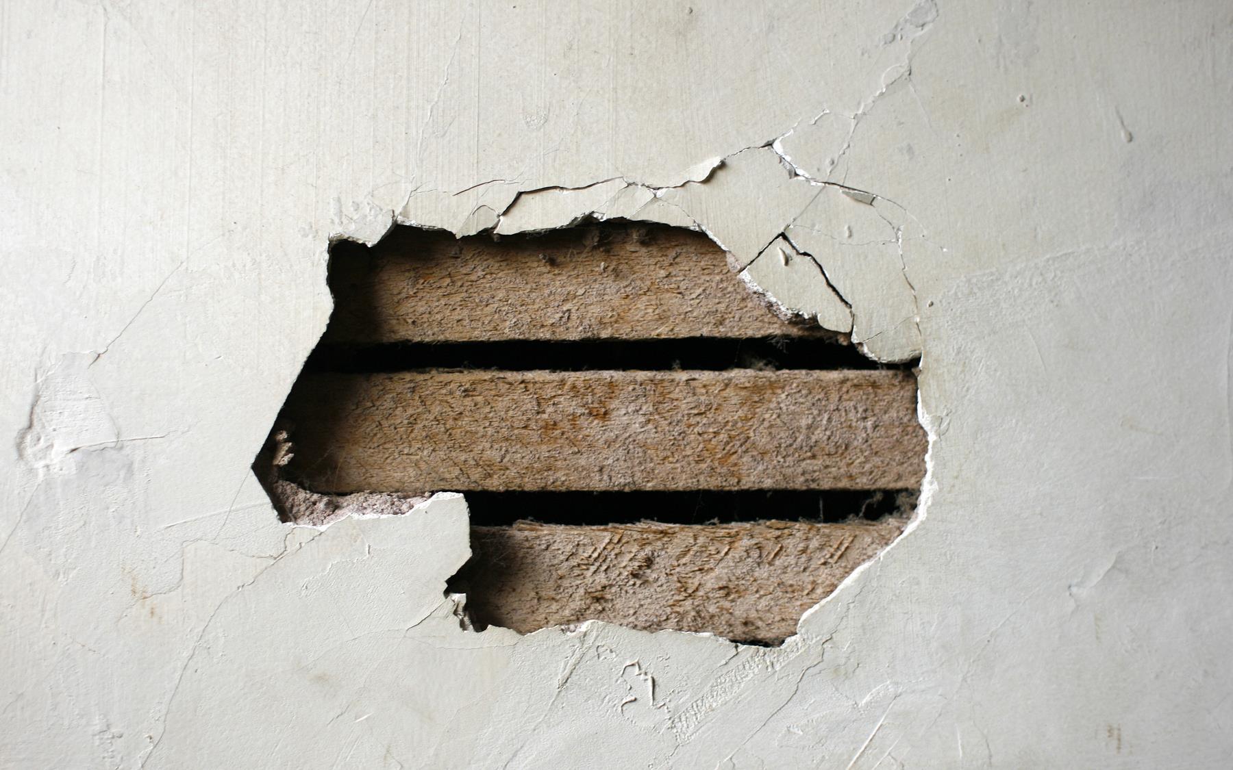 In focus: RICS probes surge in housing disrepair surveyor complaints ...